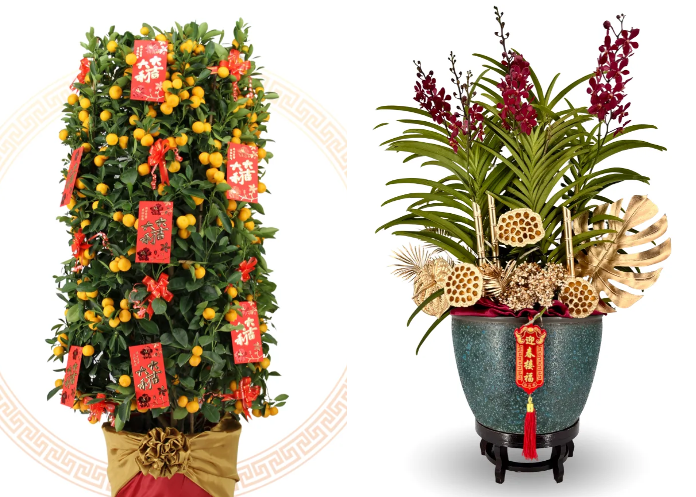 Chinese New Year Plants And Flowers in Singapore For Good Luck