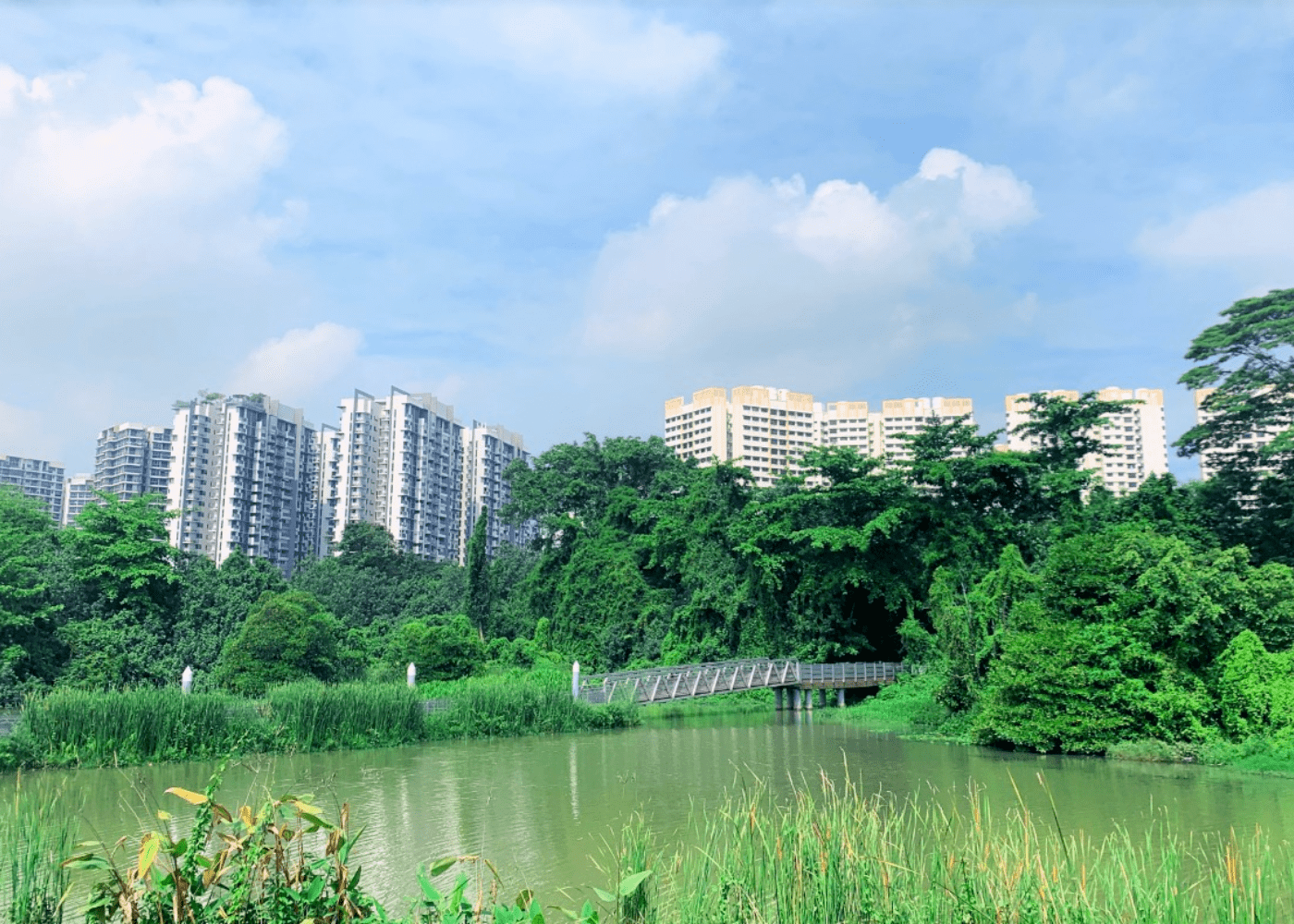 Sengkang guide: Best food, malls and parks | Honeycombers
