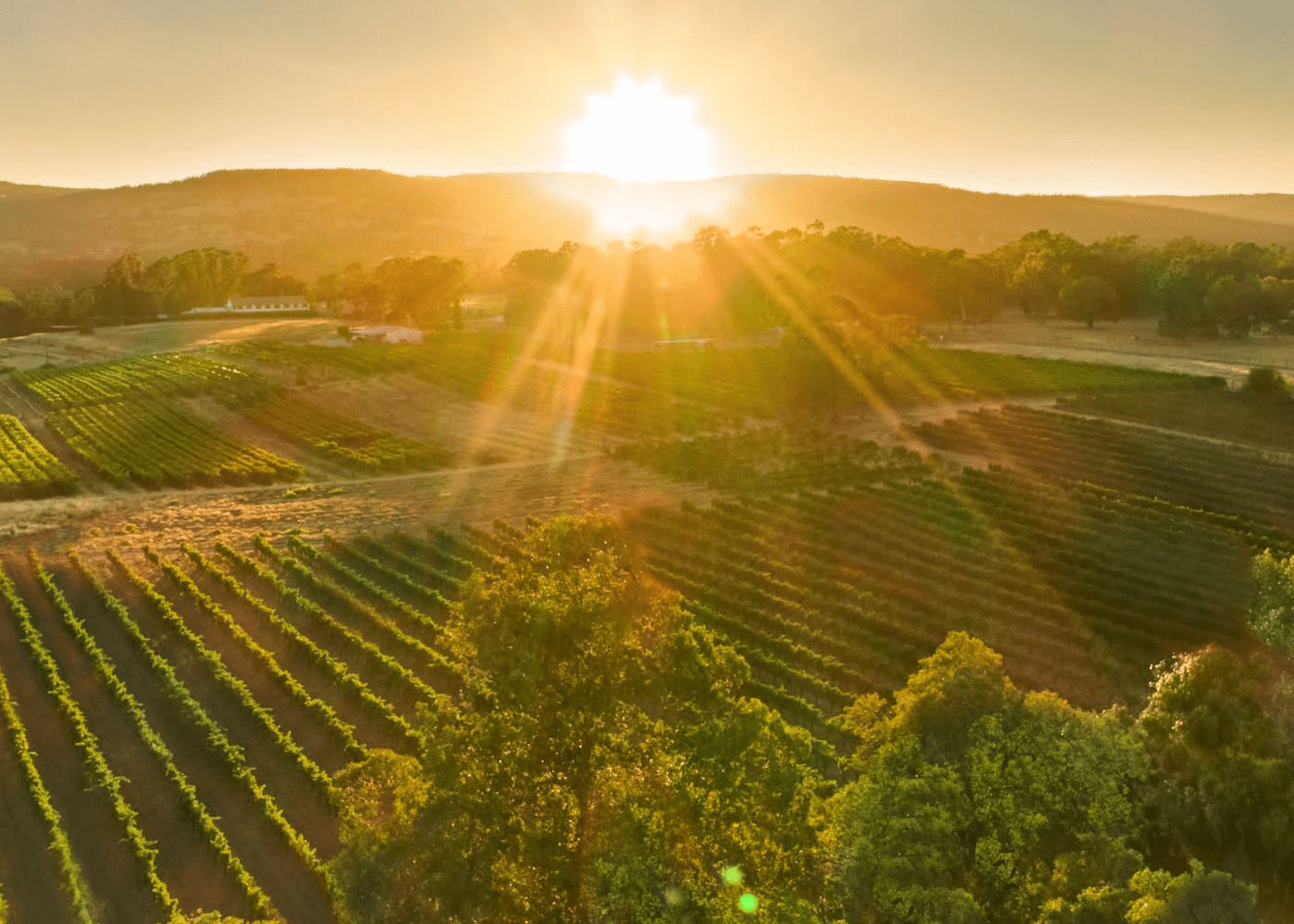 Perth guide: Best things to do, restaurants & cafes | Honeycombers