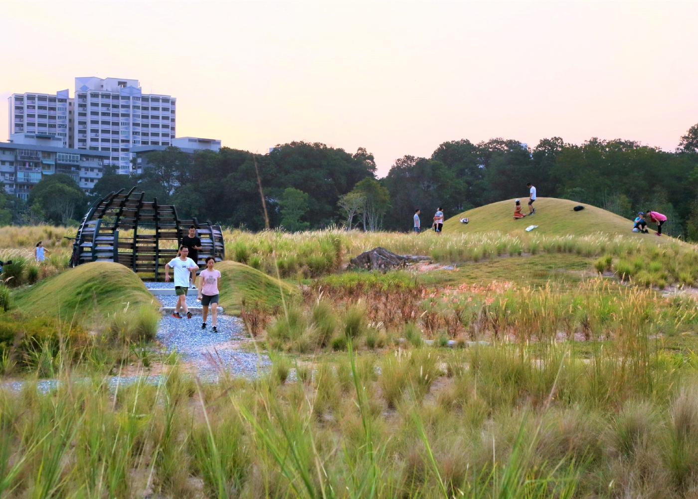 Jurong Lake Gardens guide: All you need to know | Honeycombers Singapore