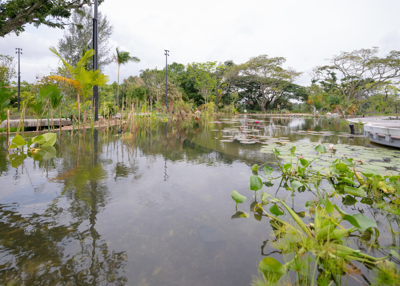 Jurong Lake Gardens guide: All you need to know | Honeycombers Singapore