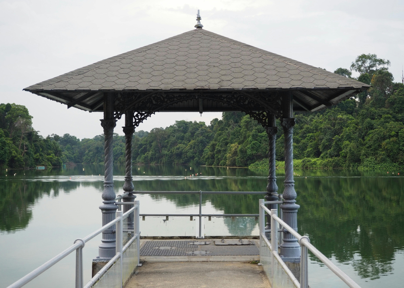 MacRitchie Reservoir Park guide: All you need to know | Honeycombers ...