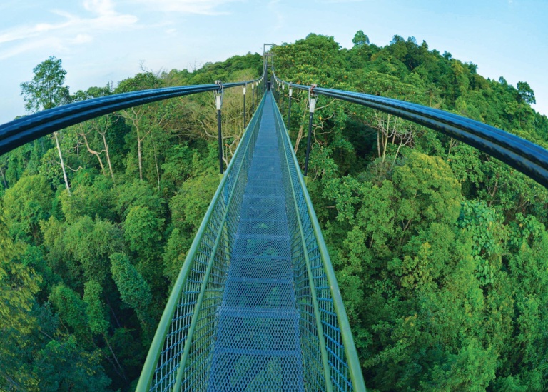 MacRitchie Reservoir Park guide: All you need to know | Honeycombers ...