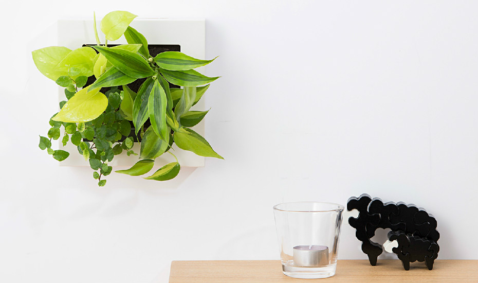 MUJI Singapore: The Japanese lifestyle brand opens a new store and cafe ...