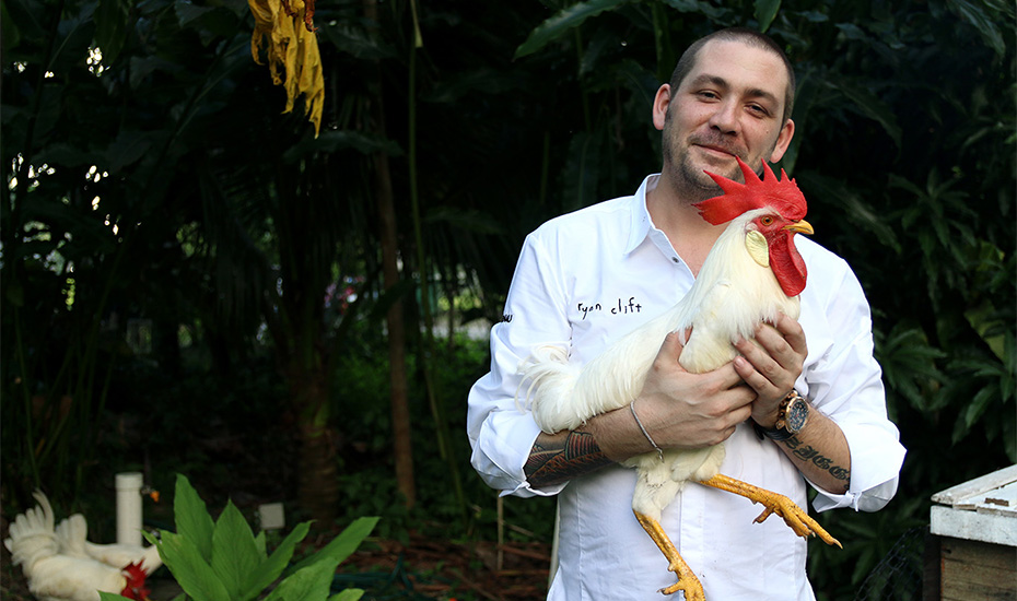 Chef Chats: We interview Ryan Clift of Open Farm Community about eating ...