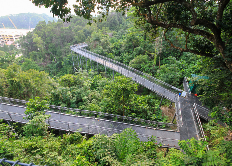 The Southern Ridges: Your complete hiking guide [2023] | Honeycombers