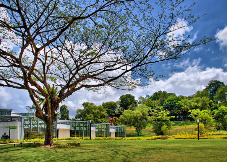 An ultimate hiking guide to the Southern Ridges [2021] | Honeycombers