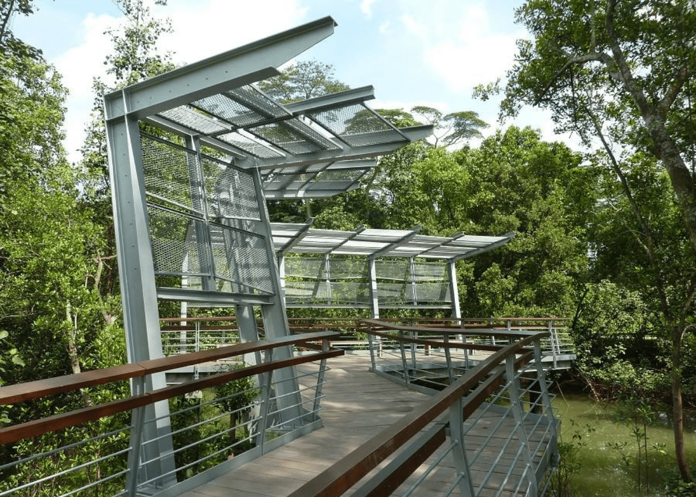 The Southern Ridges: Your complete hiking guide [2023] | Honeycombers