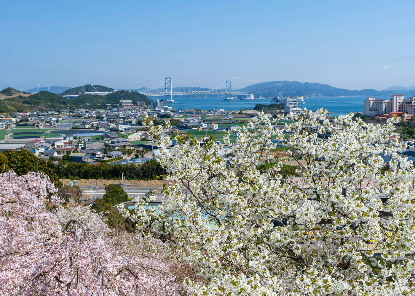 What To Do in Tokushima: A Getaway From City Life