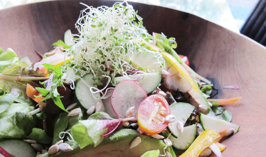 19 healthy cafes in Singapore for wholesome food | Honeycombers