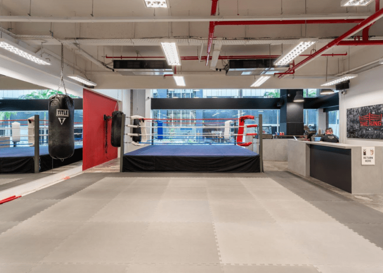 Best martial arts and boxing classes in Singapore | Honeycombers