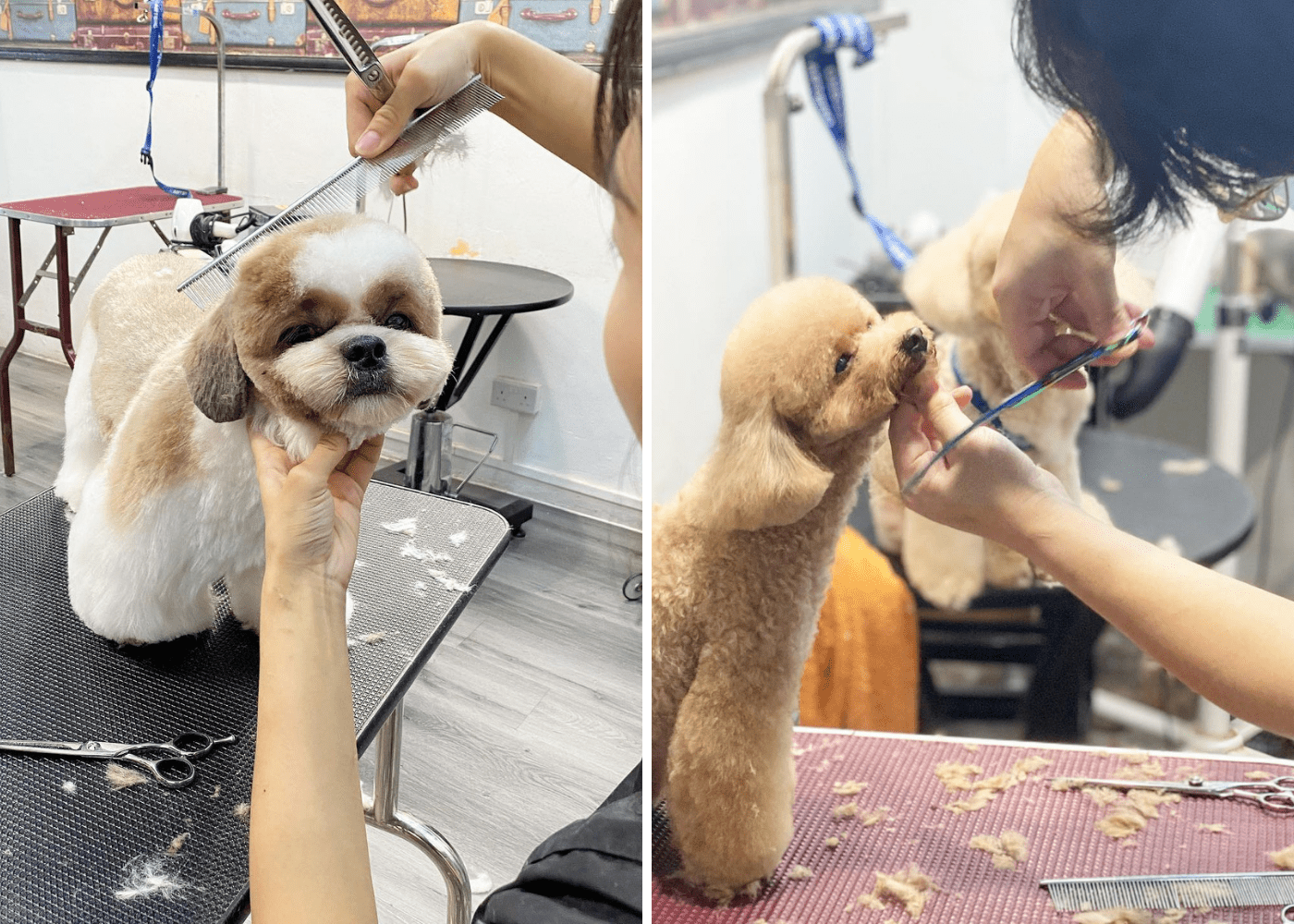 Siglap food guide: Best restaurants, cafes, bars and shops ...