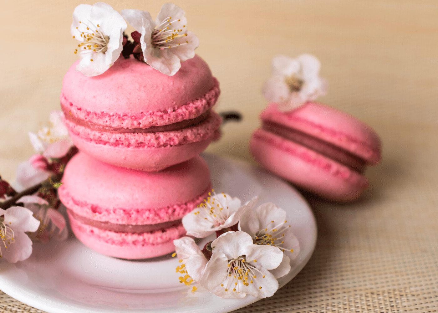 Sakura season is here with the sakura-themed menus! | Honeycombers