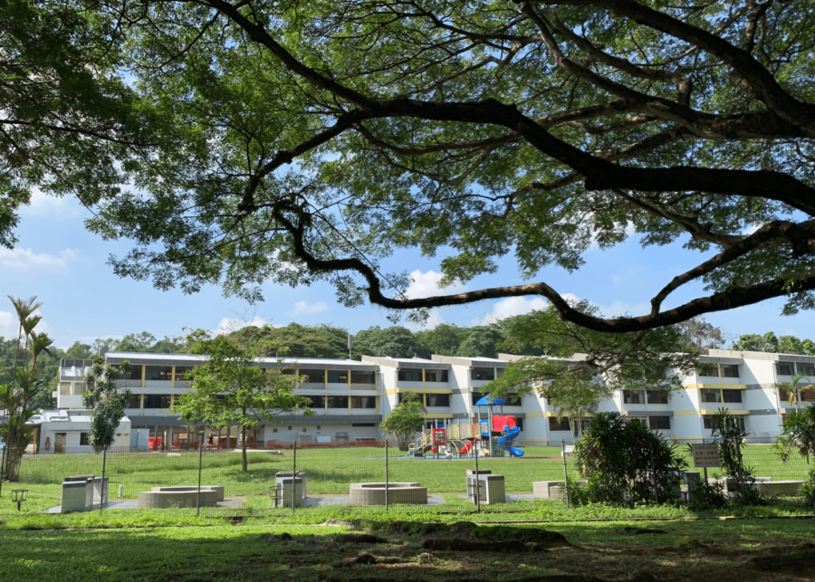 8 amazing discoveries at Pasir Ris’ first heritage trail | Honeycombers