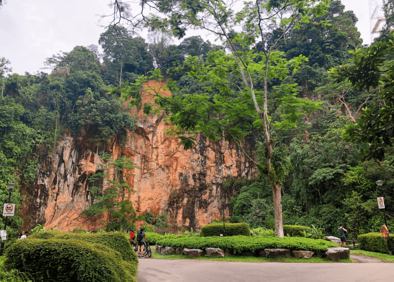 Hiking in Singapore: 28 best walking trails for trekking | Honeycombers