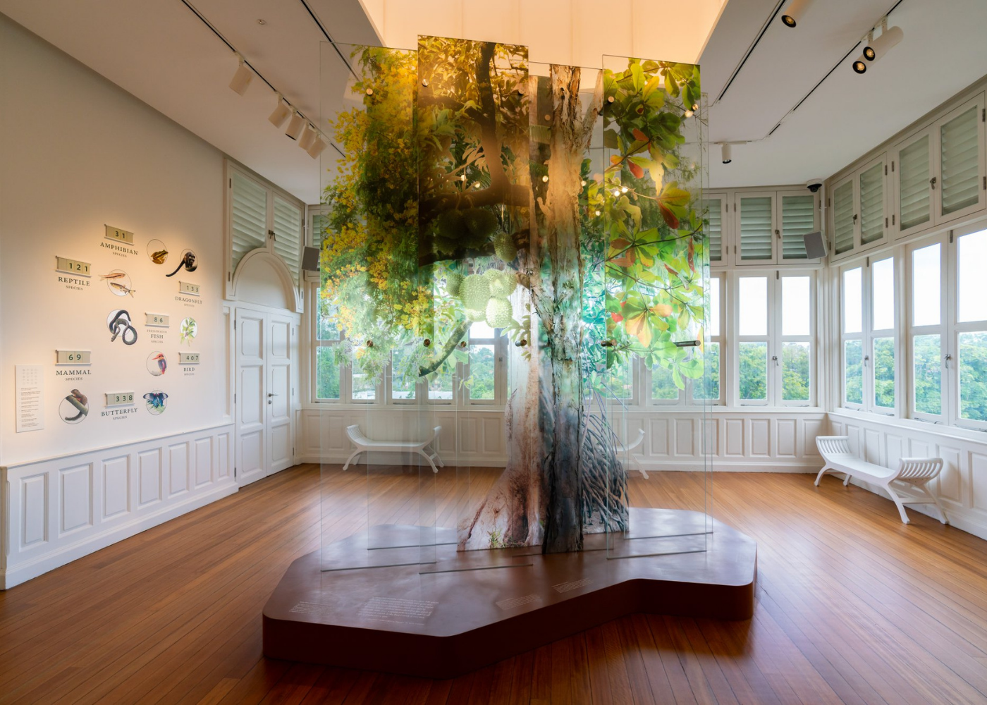 Our ultimate guide to Singapore Botanic Gardens | Honeycombers