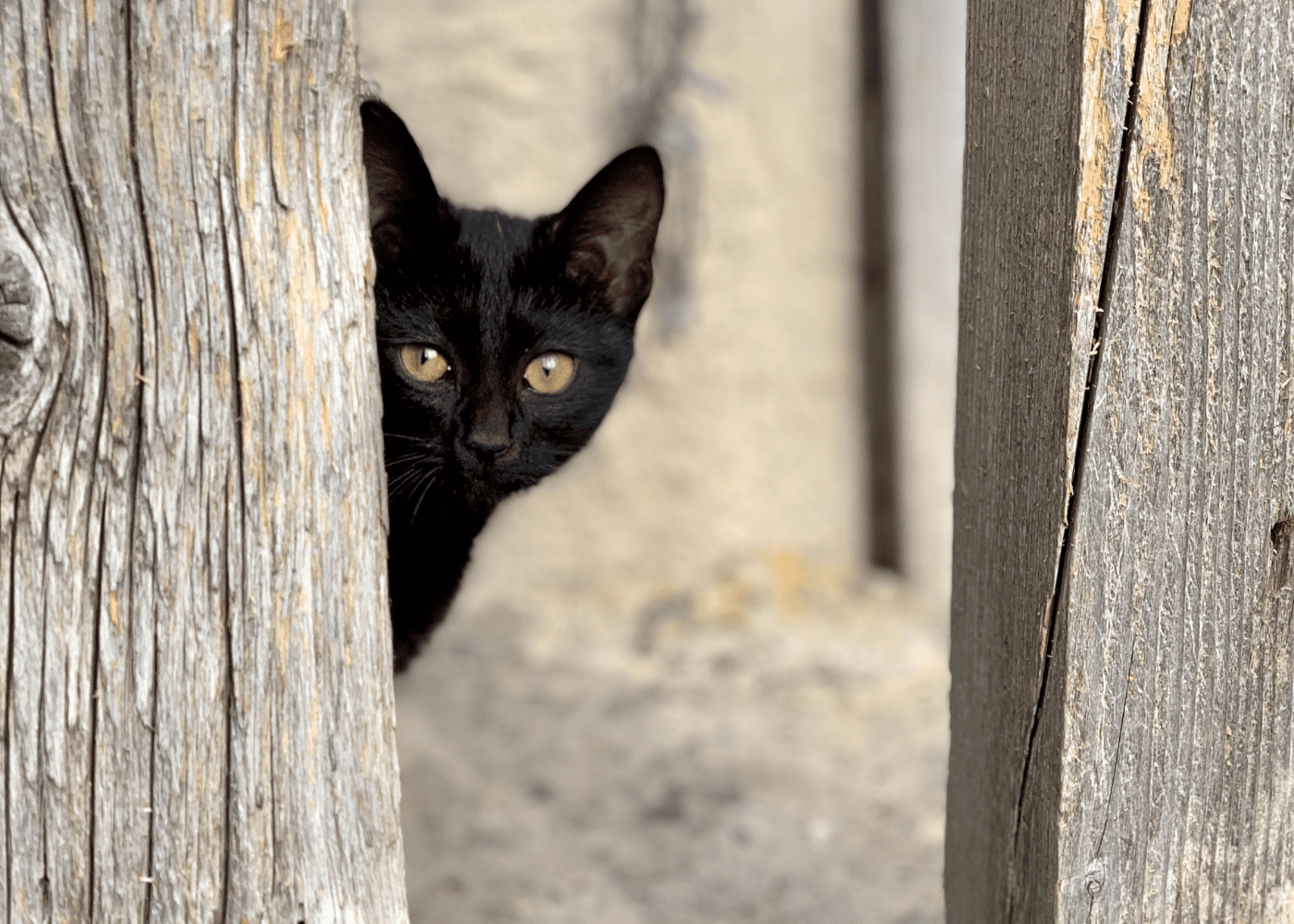 30 true Singapore ghost stories for midnight scares | Honeycombers ...