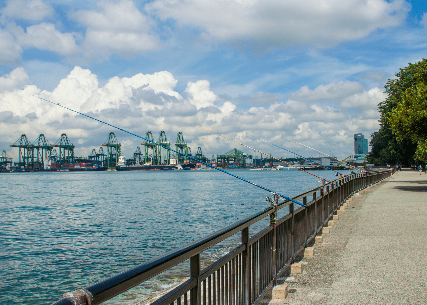 The Southern Ridges: Your complete hiking guide [2023] | Honeycombers