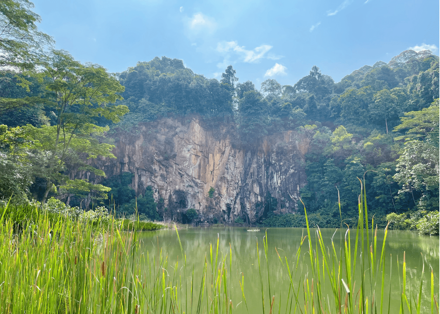 Hiking in Singapore: 28 best walking trails for trekking | Honeycombers