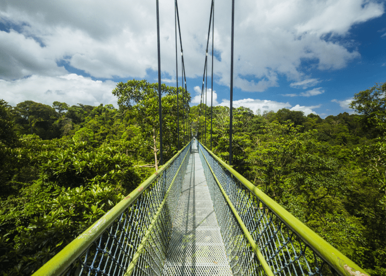 Hiking in Singapore: 28 best walking trails for trekking | Honeycombers