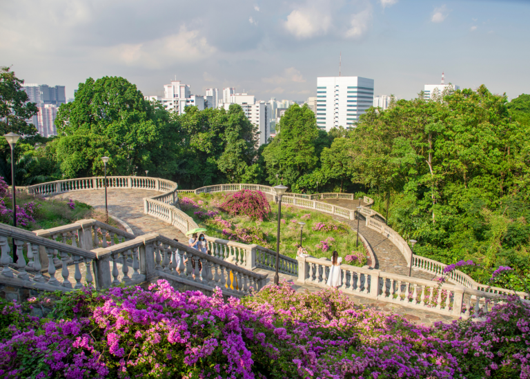 19 hidden parks and secret gardens in Singapore | Honeycombers