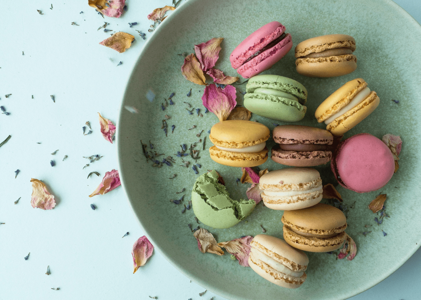 Where to get the best macarons in Singapore | Honeycombers