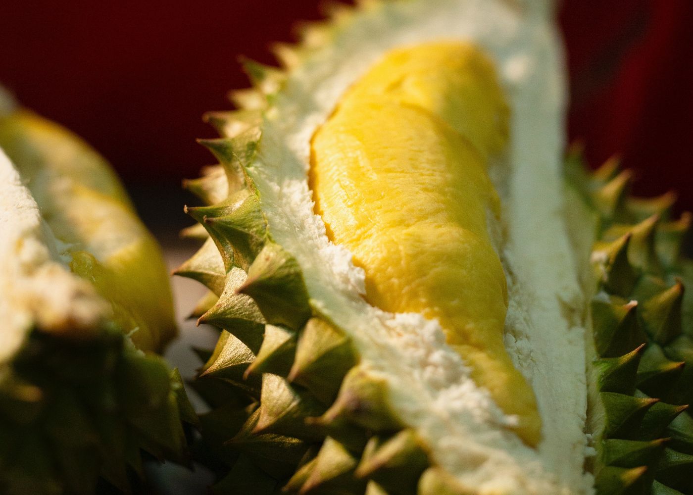 10 best durian stores and delivery services in Singapore | Honeycombers