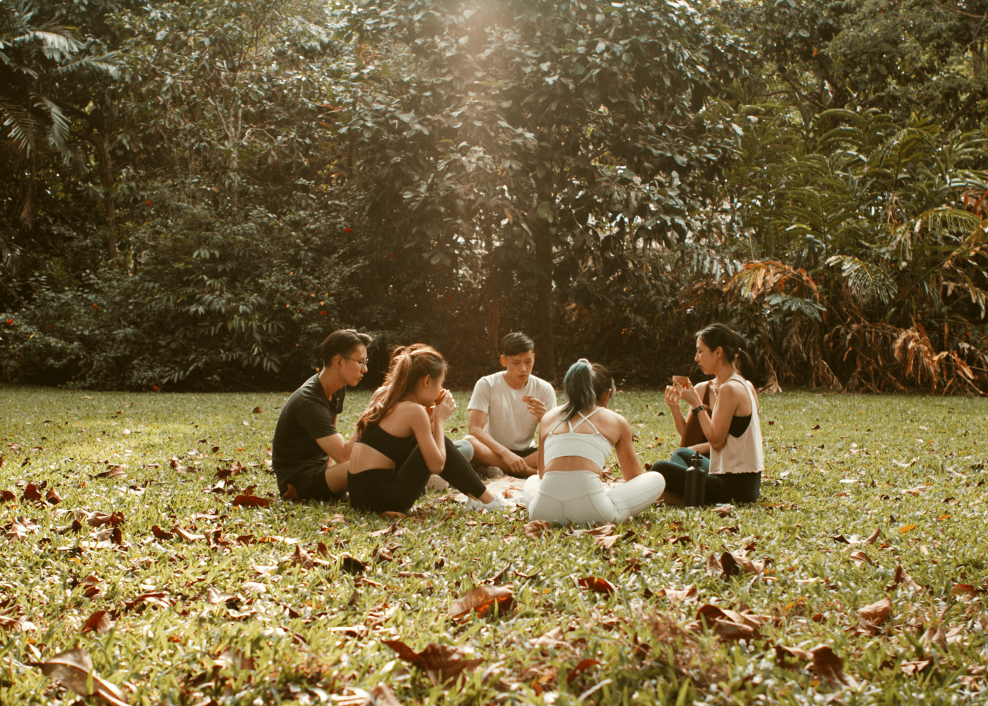 What I learnt from my forest bathing experience | Honeycombers