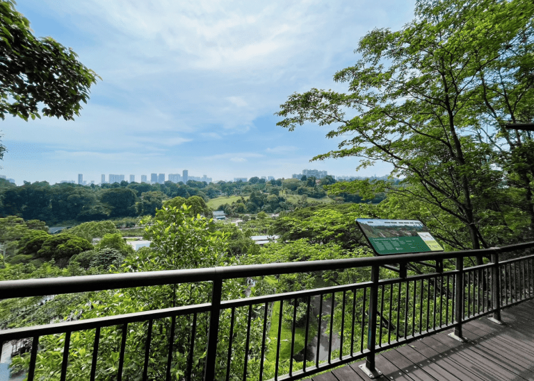 The Southern Ridges: Your complete hiking guide [2023] | Honeycombers