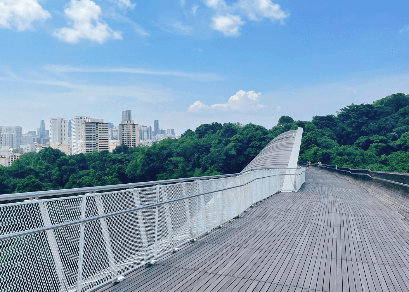 The Southern Ridges: Your complete hiking guide [2023] | Honeycombers