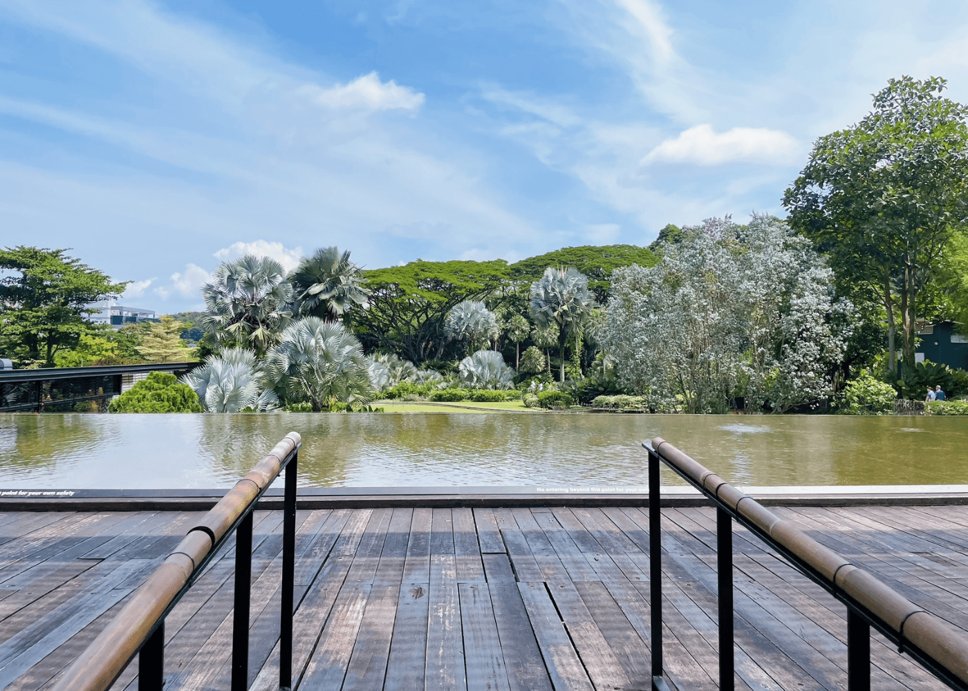 The Southern Ridges: Your complete hiking guide [2023] | Honeycombers