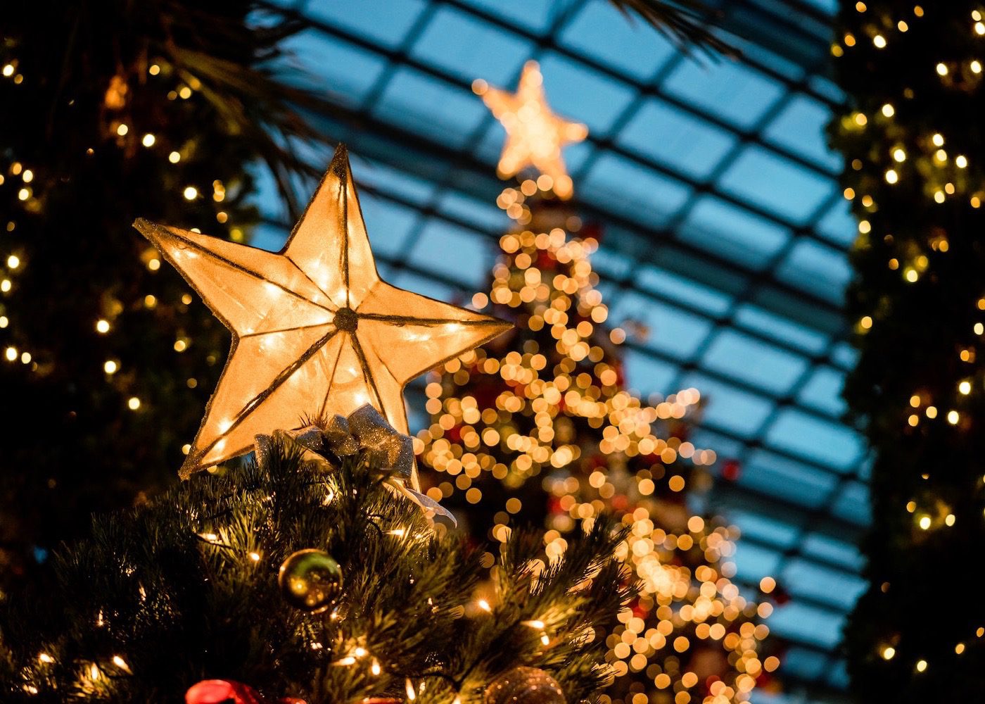 Want a sustainable Christmas? Follow these tips | Honeycombers
