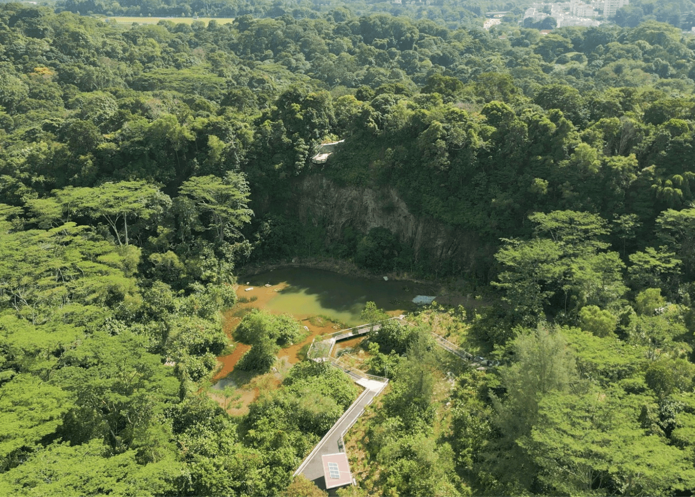 Hiking in Singapore: 28 best walking trails for trekking | Honeycombers