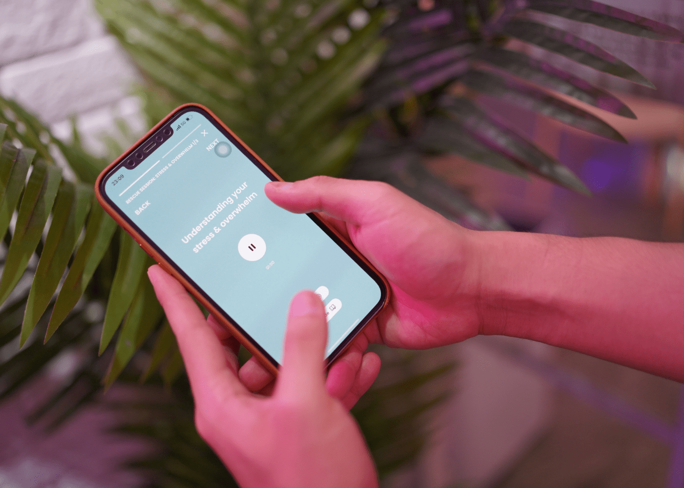 De-stress with Intellect for your mental wellbeing | Honeycombers