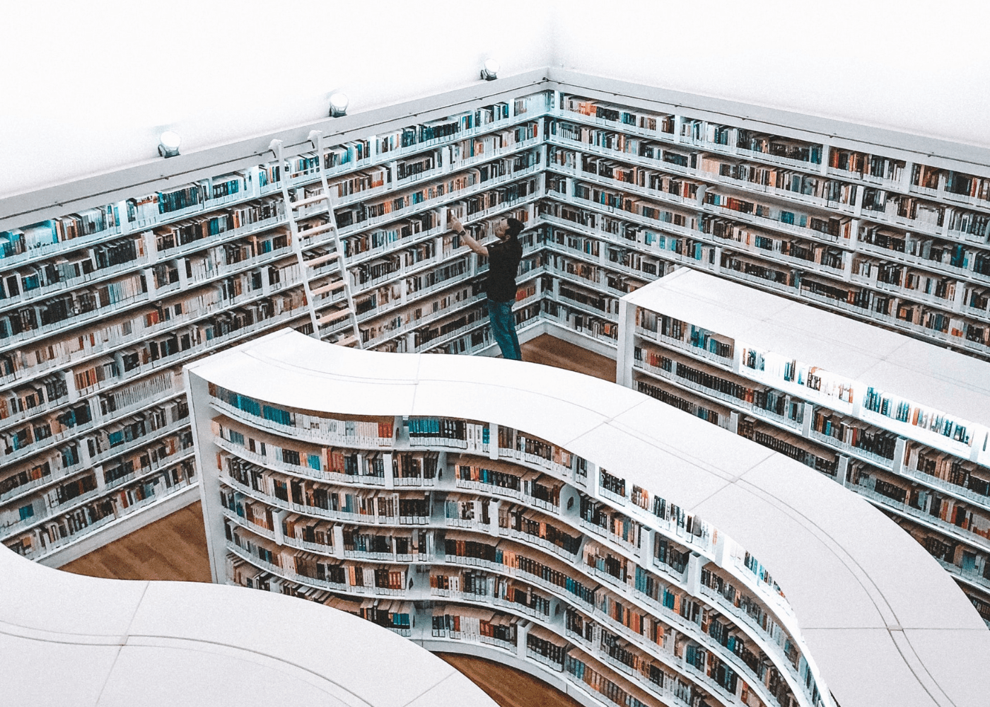 9 cool libraries in Singapore for quiet reading and more | Honeycombers