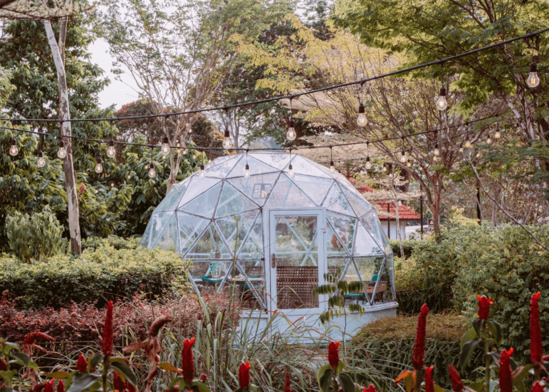 Best Rochester Park restaurants and cafes in Singapore | Honeycombers