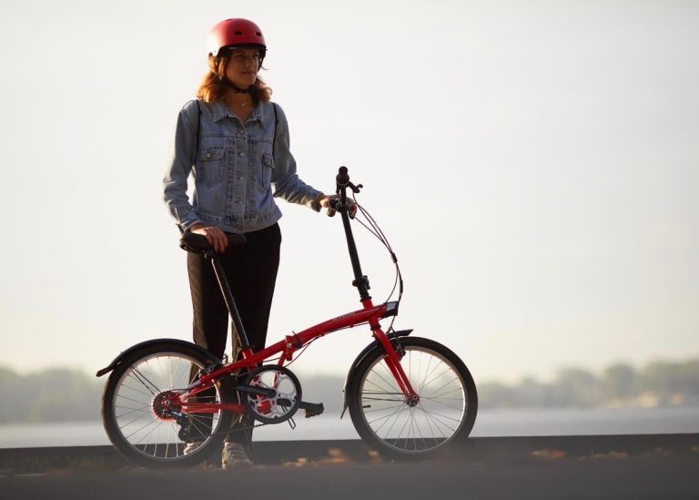 Best foldable bicycles in Singapore for every budget | Honeycombers