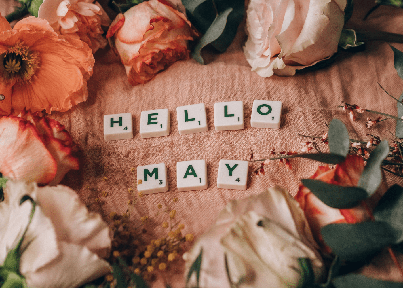 Exciting things to do in Singapore: May 2023 | Honeycombers