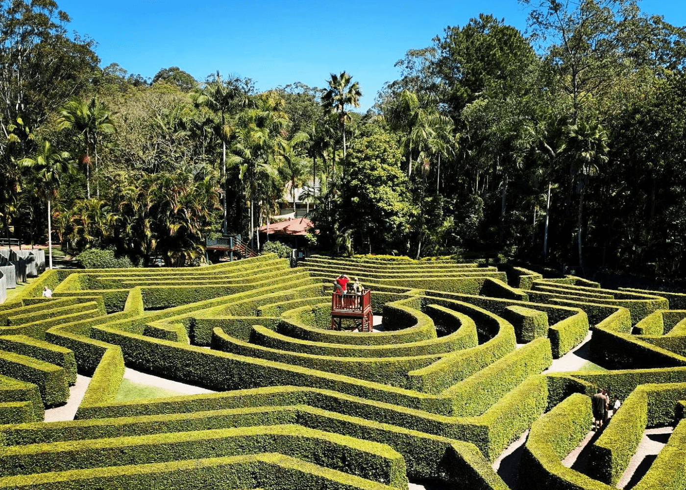 Add to bucket list: Fun outdoor activities in Australia | Honeycombers