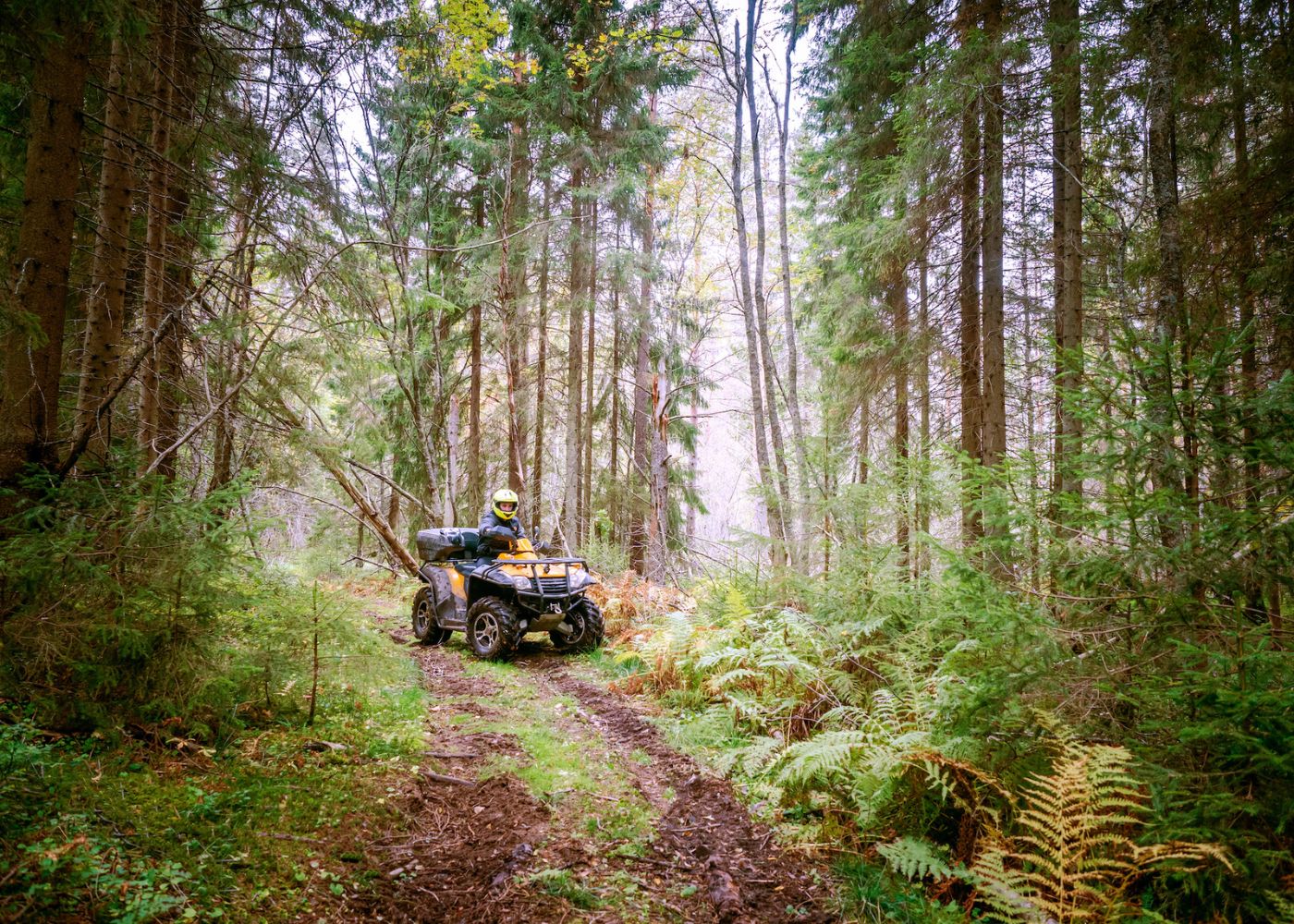 5 exciting activities in Singapore to try with friends | Honeycombers