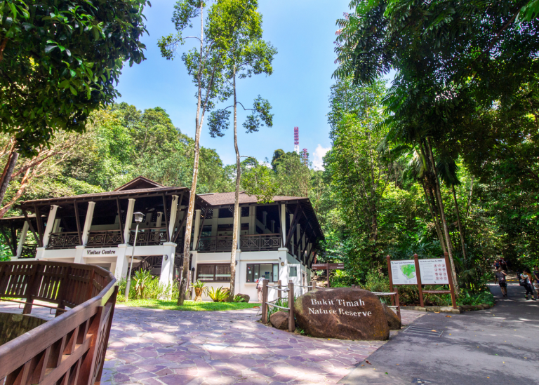 Bukit Timah guide: 30 food spots, shops and activities | Honeycombers ...