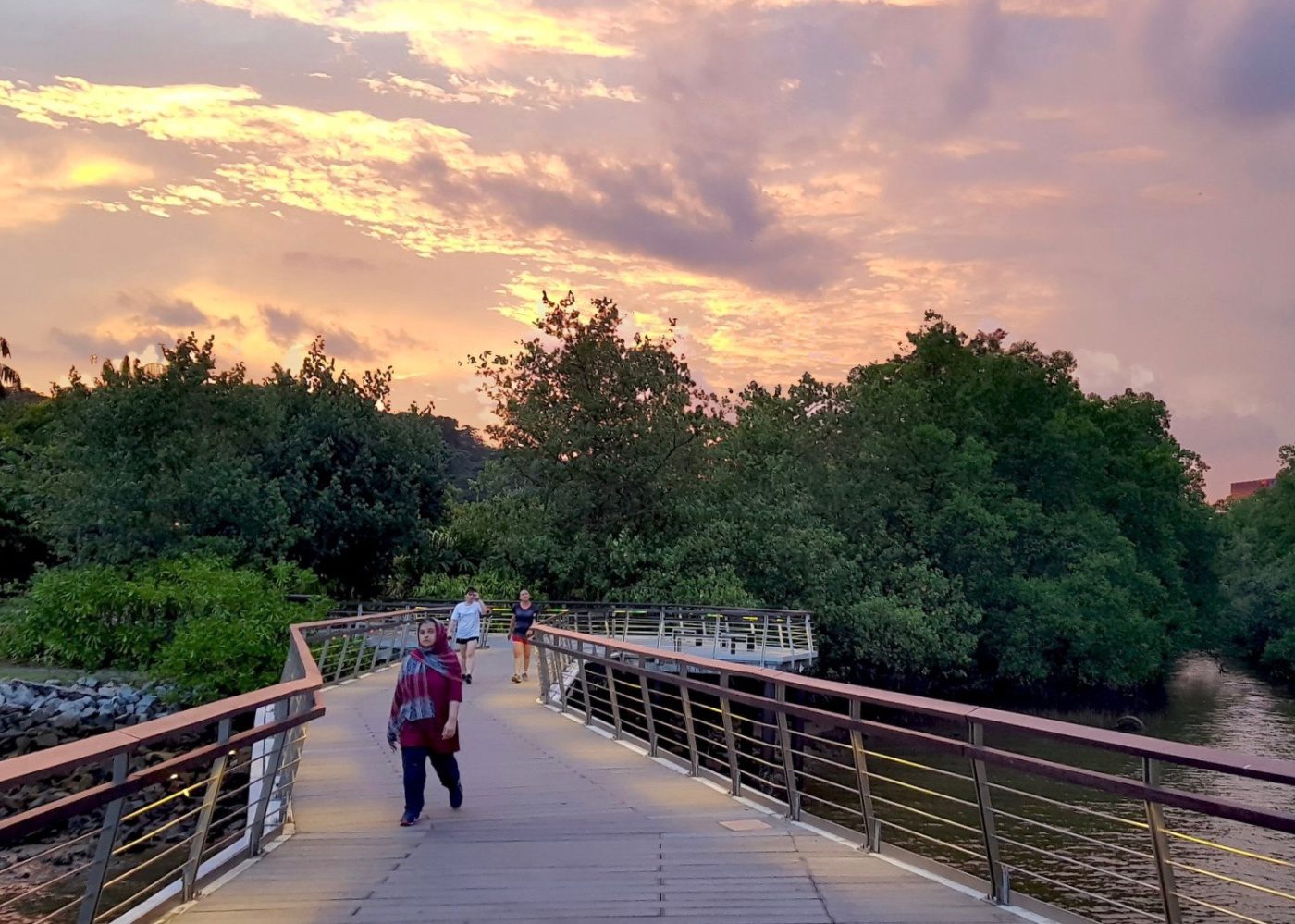 Visiting Labrador Nature Reserve? Here’s a handy guide | Honeycombers