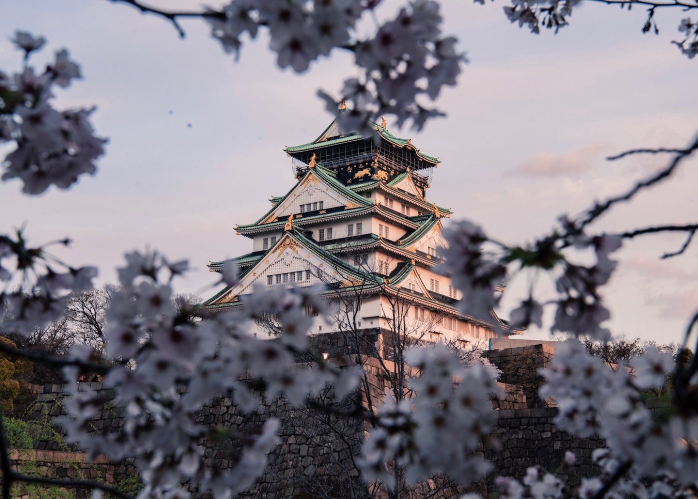 Best things to do in Osaka for first-timers | Honeycombers