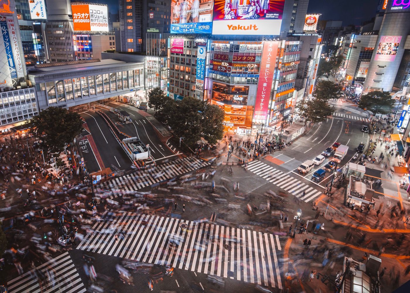 Tokyo guide: Top things to do and food to eat | Honeycombers