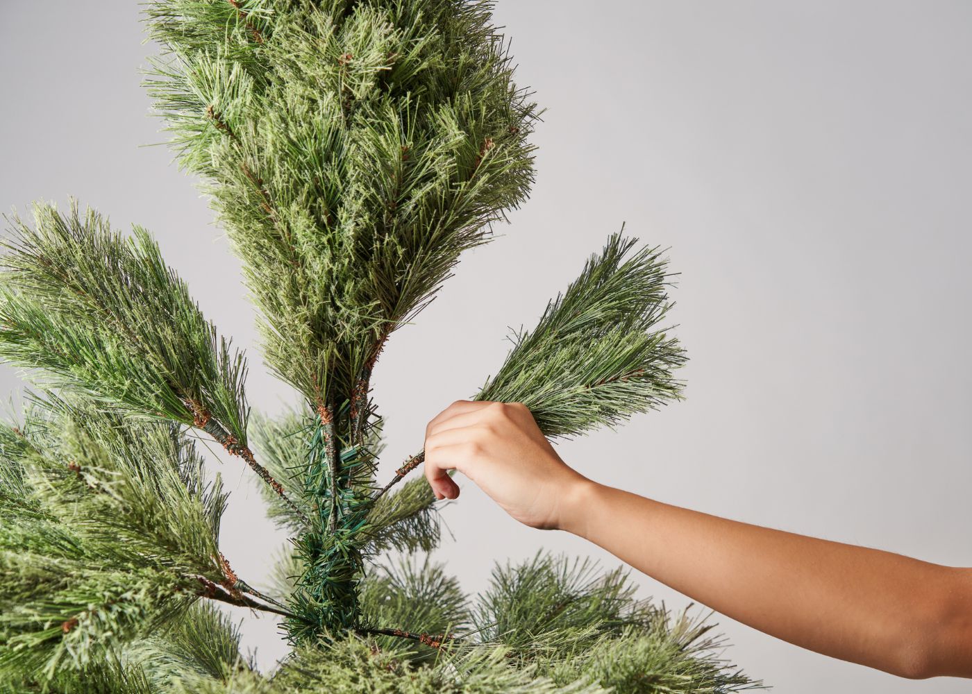 An easy way to set up your own Christmas tree | Honeycombers