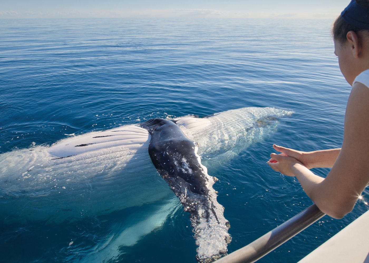Bucket list adventures: 3 unique things to do in Australia | Honeycombers