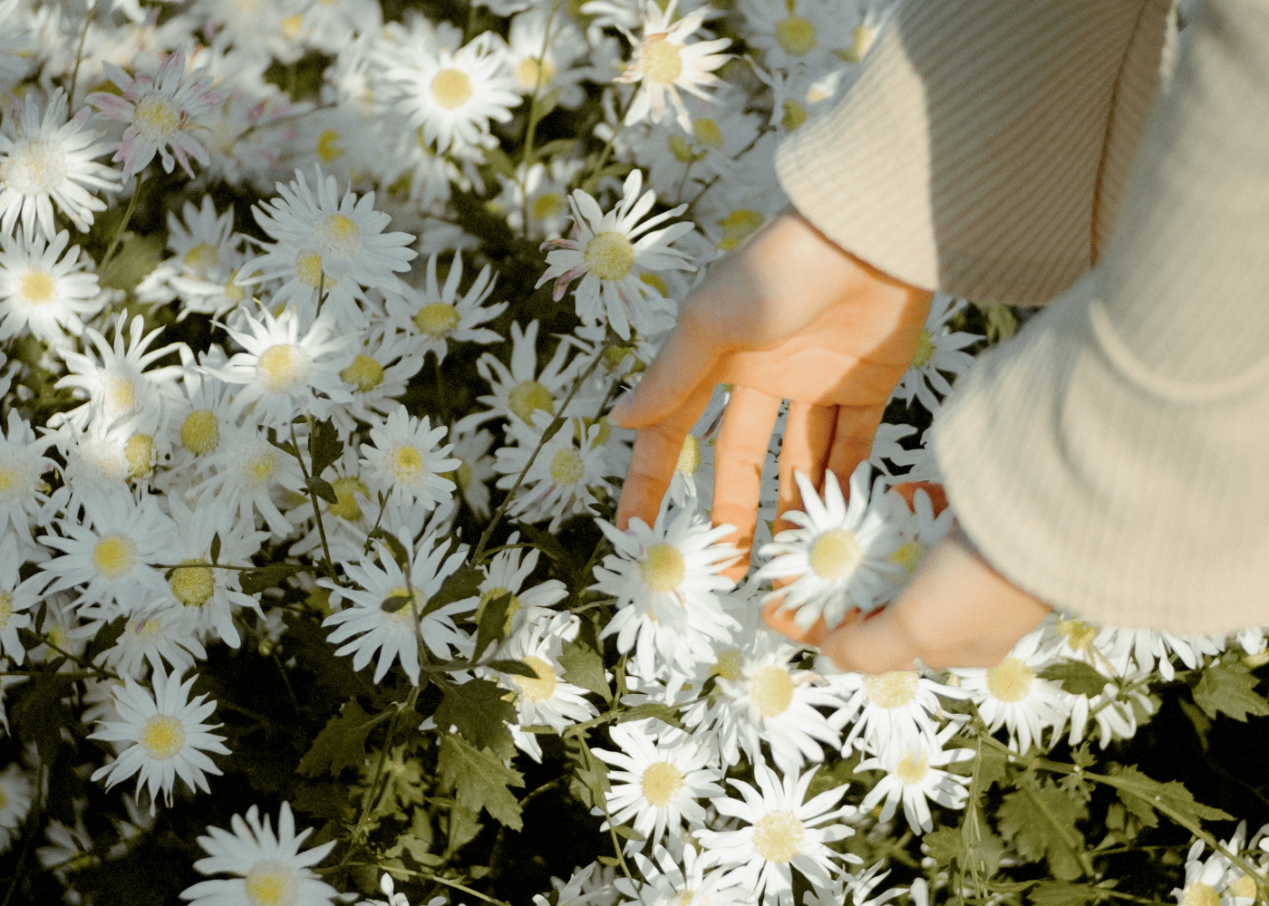 5 simple ways to celebrate the Spring Equinox | Honeycombers