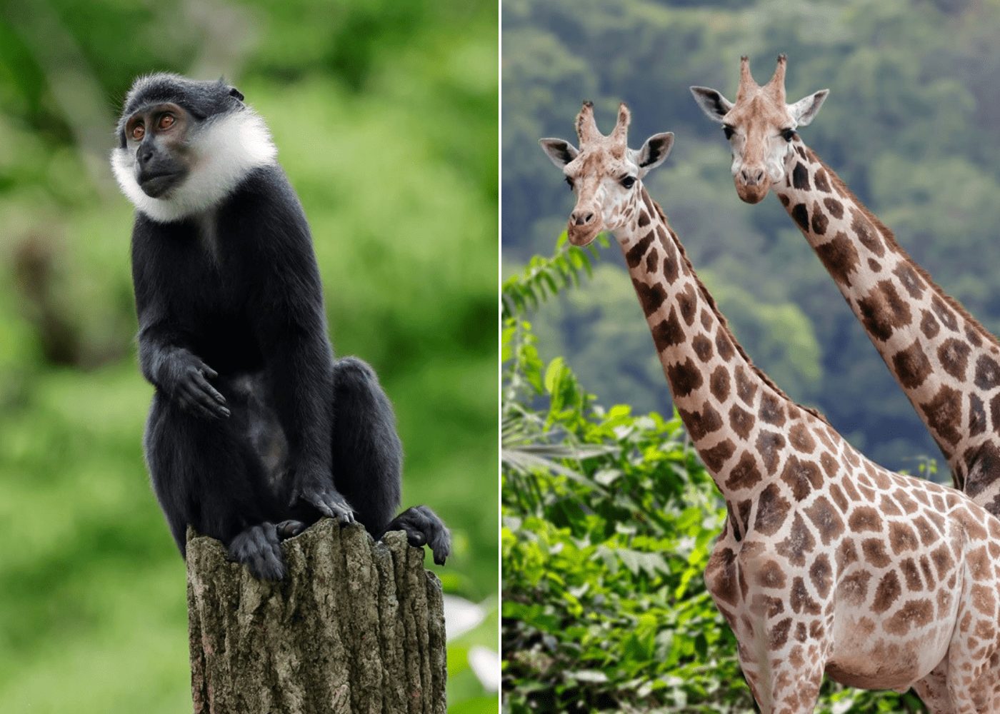 35 major attractions in Singapore for sightseeing fun | Honeycombers