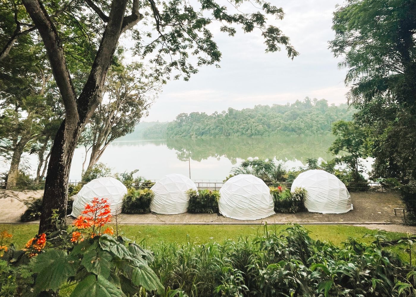 Review: Glamping in the Wild at the Singapore Zoo | Honeycombers
