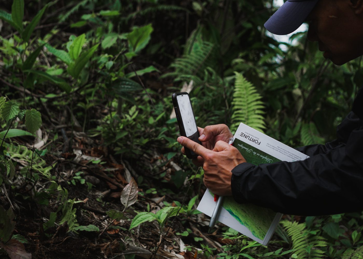 9 top sustainability apps to help you go green | Honeycombers